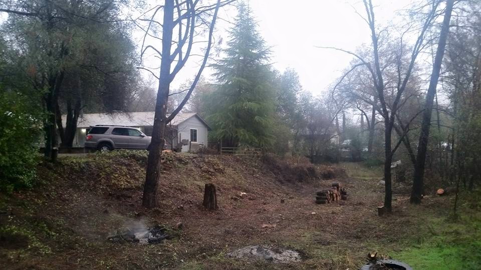 DefensibleSpace | Landscaping & Irrigation | Redding